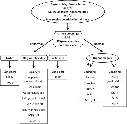 Facies tosca. – Neuropediatoolkit